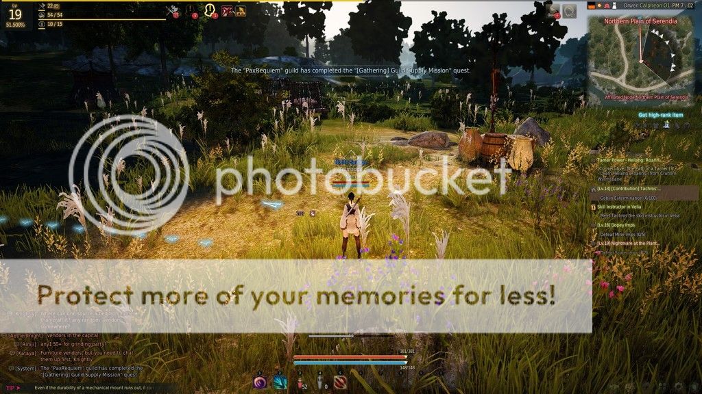 Strong Altar Imp Trainer - BDO Codex